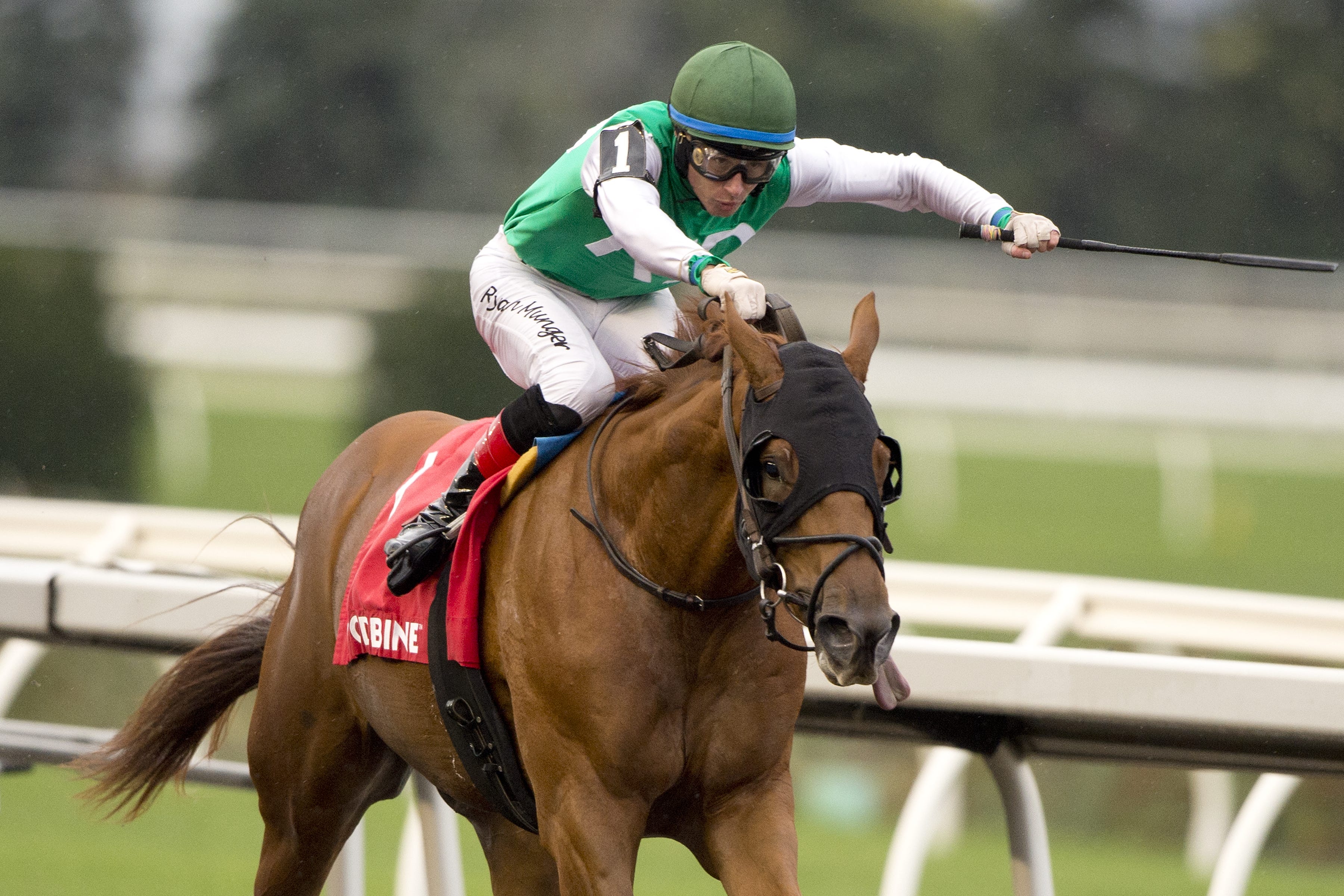 Big Time Boss cuts back under leading stakes rider Hernandez in Clarendon